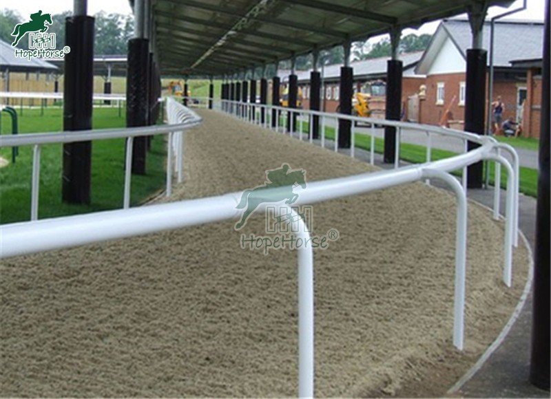 Horse Racing Rail