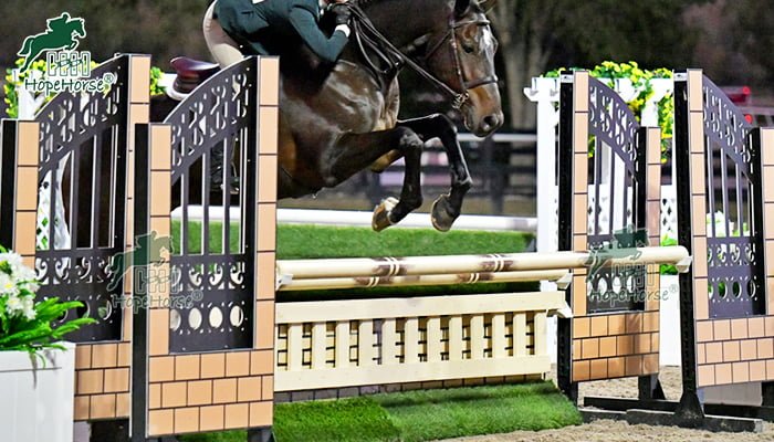 Wooden show jumps
