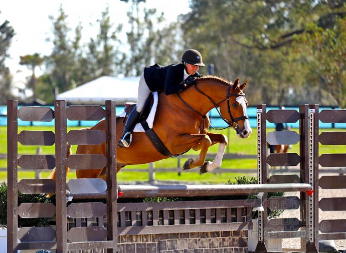 Wooden show jumps