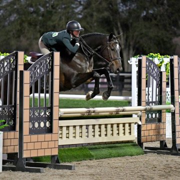 Wooden show jumps