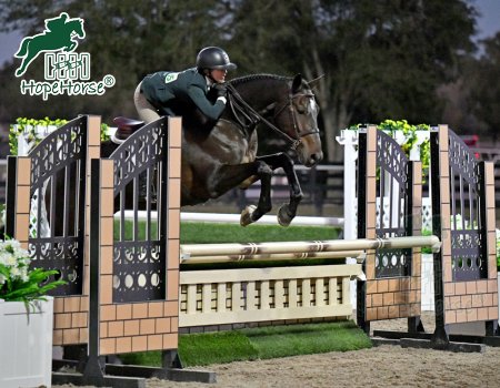 Horse Show Jumps