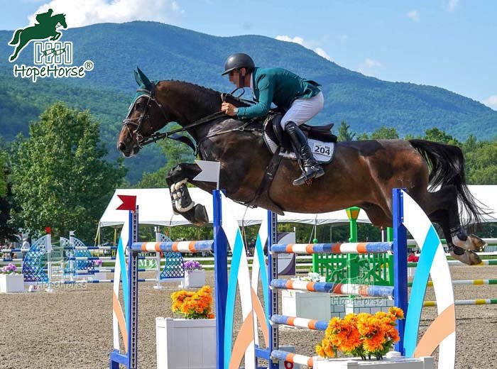 Horse Show Jumps|Dressage Arena|Permanent Stalls|Customized Option for ...