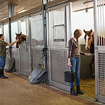 10-Steps-to-Clean-Horse-Stable-Providing-Horses-with-a-Healthy-and ...